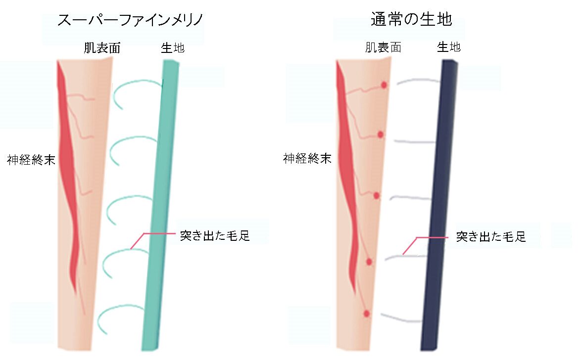 超極細のメリノウールは何故チクチクしないのか - Koto-Ai